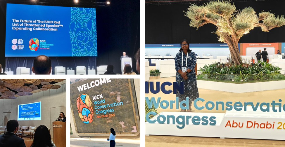 From Palk Bay to Abu Dhabi: Young Leaders from India at IUCN WCC 2025